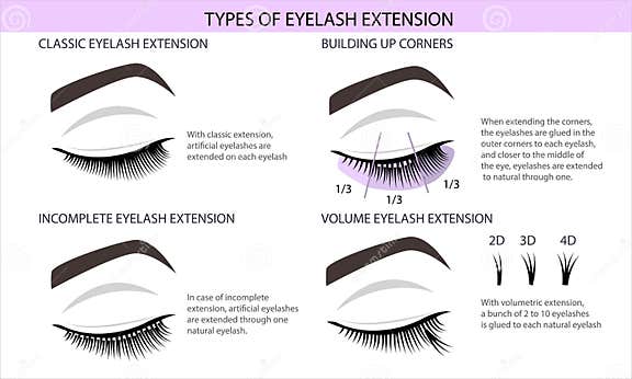 Eyelash Extension Guide. Direction Schemes. Tips and Tricks for Eyelash ...