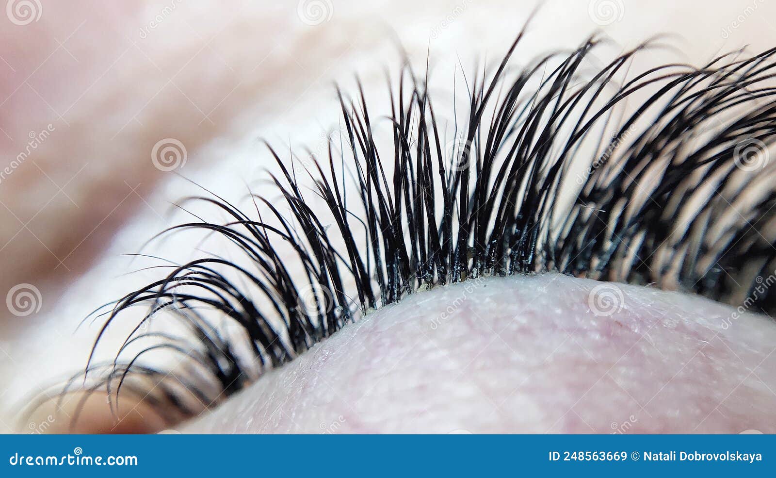 Eyelash Extensions in Beauty Salon Macro Eye Stock Image - Image of ...