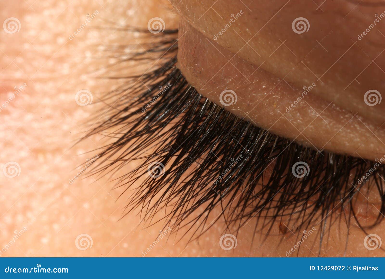 Eyelash macro stock photo. Image of lash, eyelash, long - 12429072