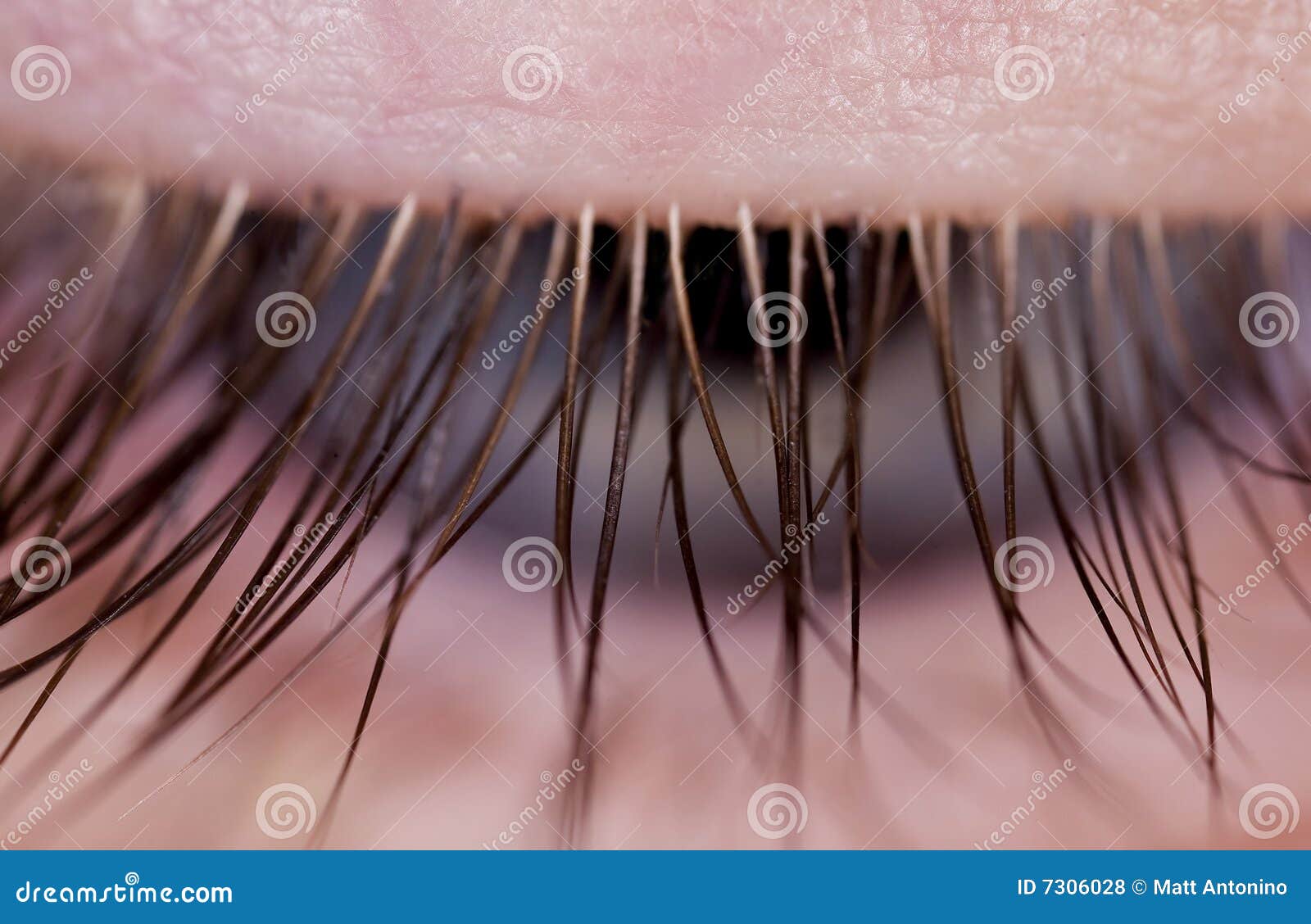Eyelash super macro stock photo. Image of brows, pretty - 7306028