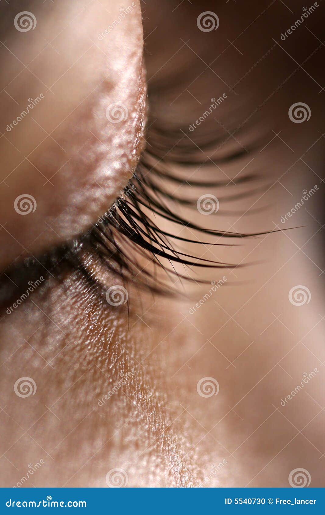 Eyelashes stock photo. Image of creative, lash, beautiful - 5540730