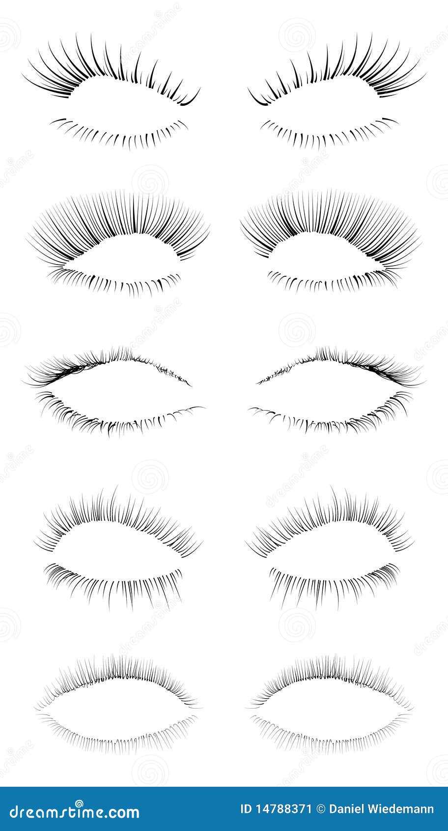 Eyelashes Set stock vector. Illustration of angry, black - 14788371
