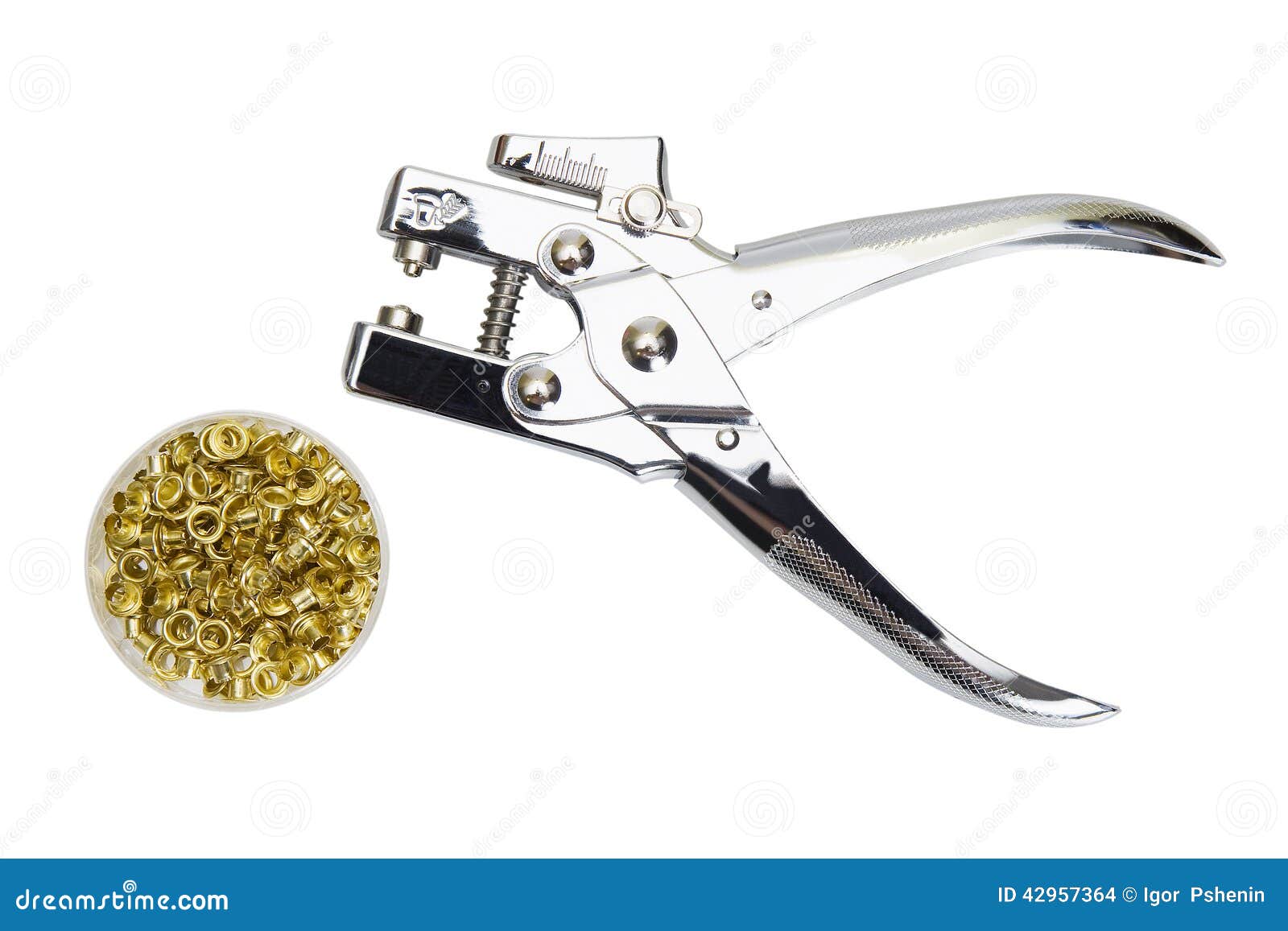 Eyelet Punch and Rivets for Paper Stock Photo - Image of fastenings ...