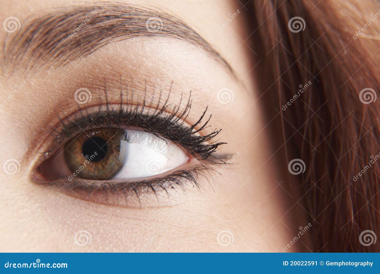 Eyes stock image. Image of caucasian, eyesight, looking - 20022591