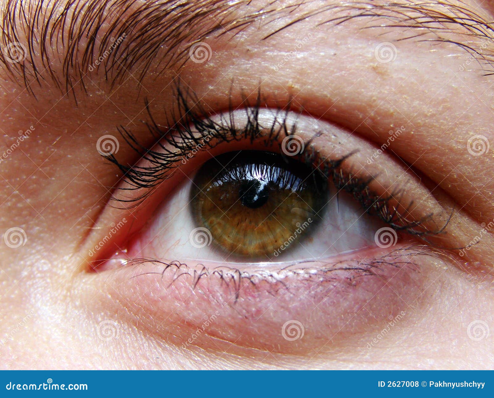 Eyes stock photo. Image of casual, lips, caucasian, adult - 2627008