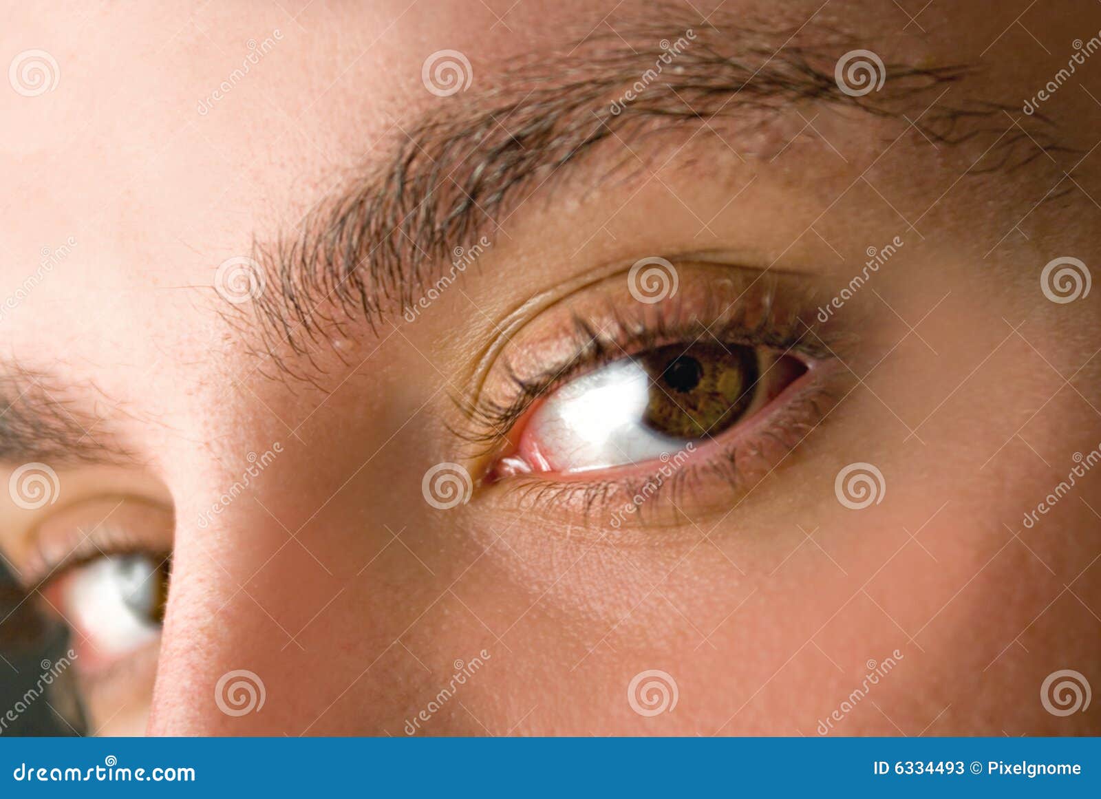 Eyes stock image. Image of brown, brow, intent, lashes - 6334493