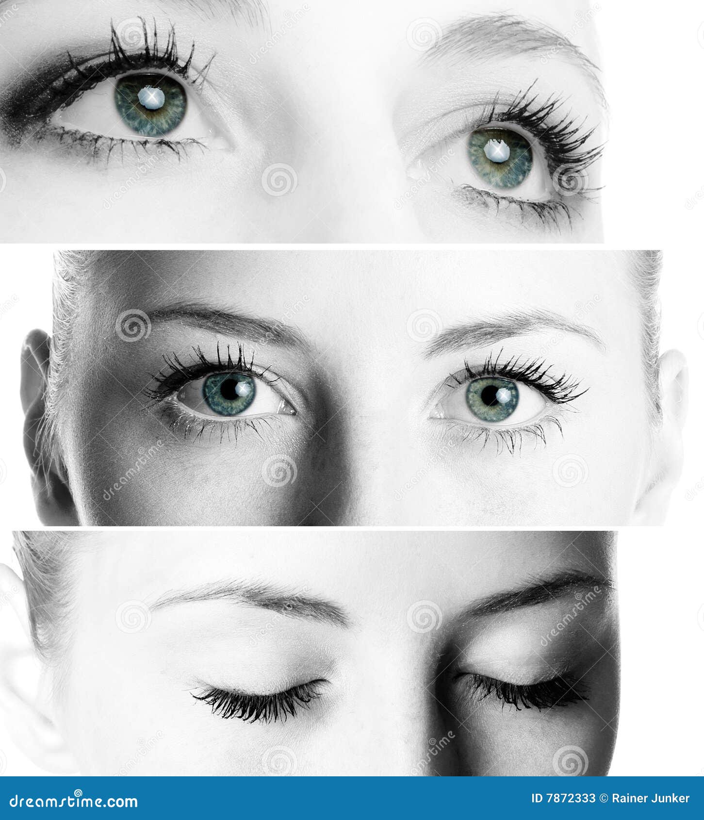 Eyes stock image. Image of female, elegance, woman, face - 7872333