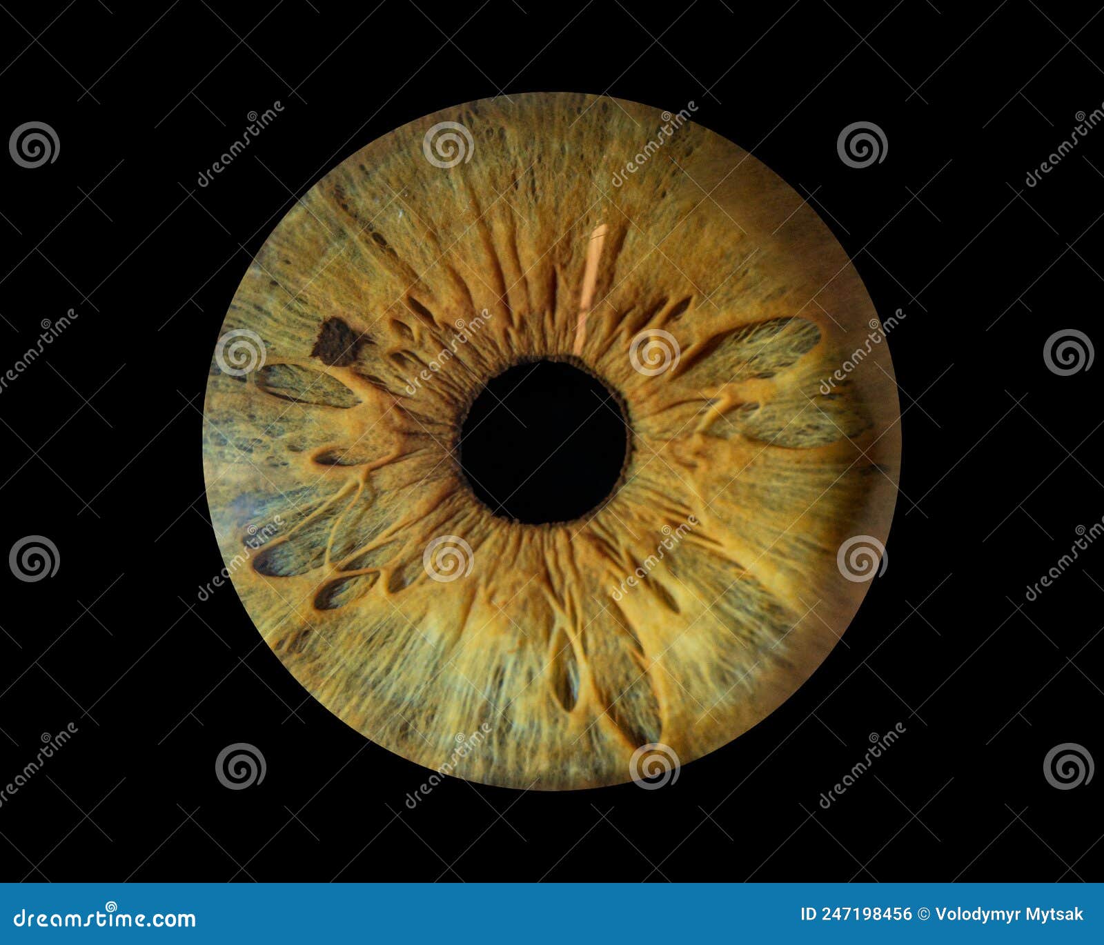 Only eyes capture stock photo. Image of independent - 247198456