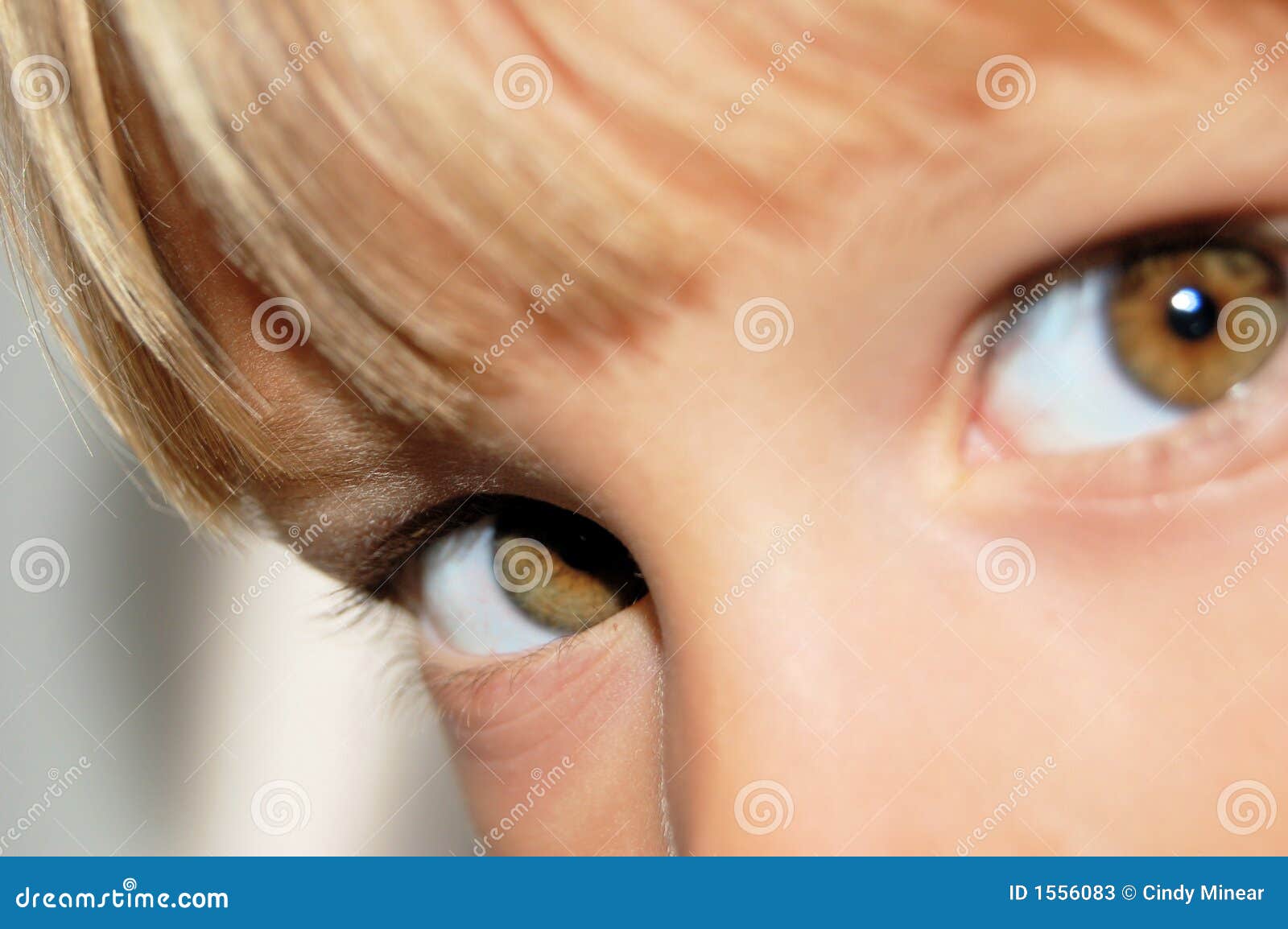 Eyes of a child stock image. Image of hazel, child, preschooler - 1556083