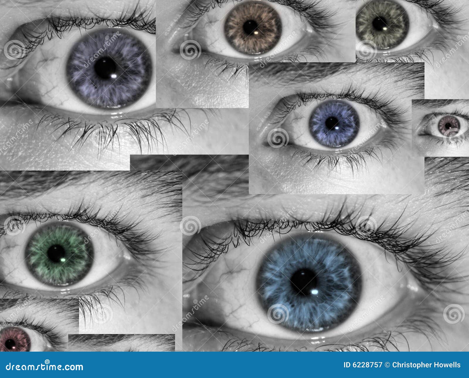 Eyes collage stock image. Image of colors, colored, multi - 6228757