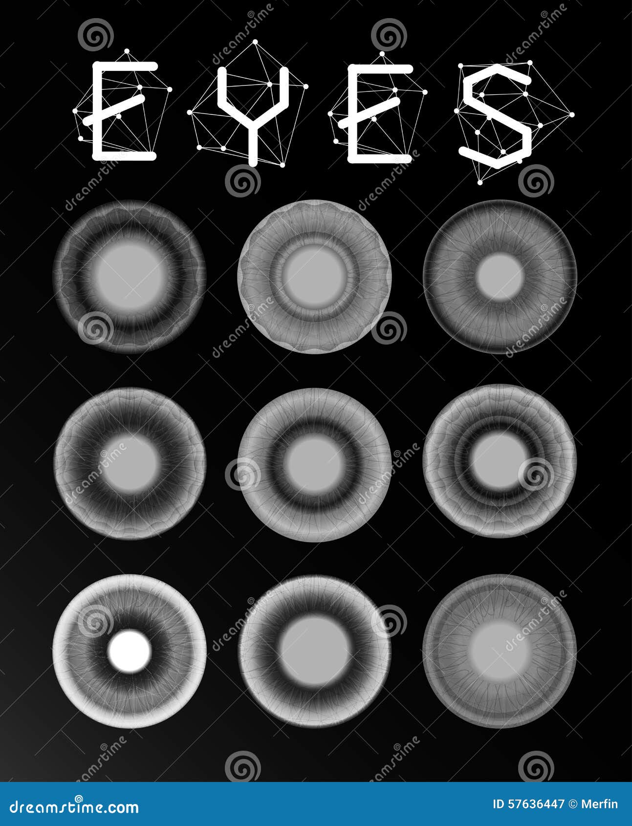 Pupil shapes - rightbay