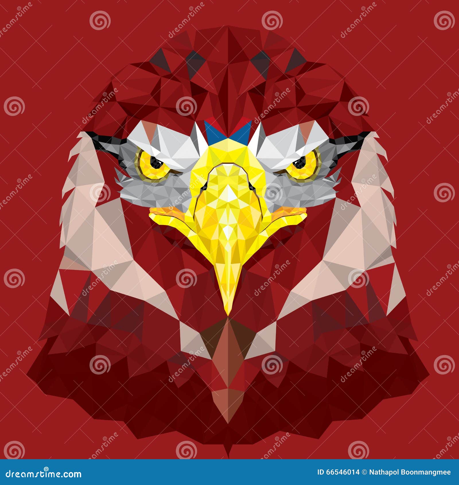 Eyes of Eagle with Geometric Pattern Stock Vector - Illustration of ...