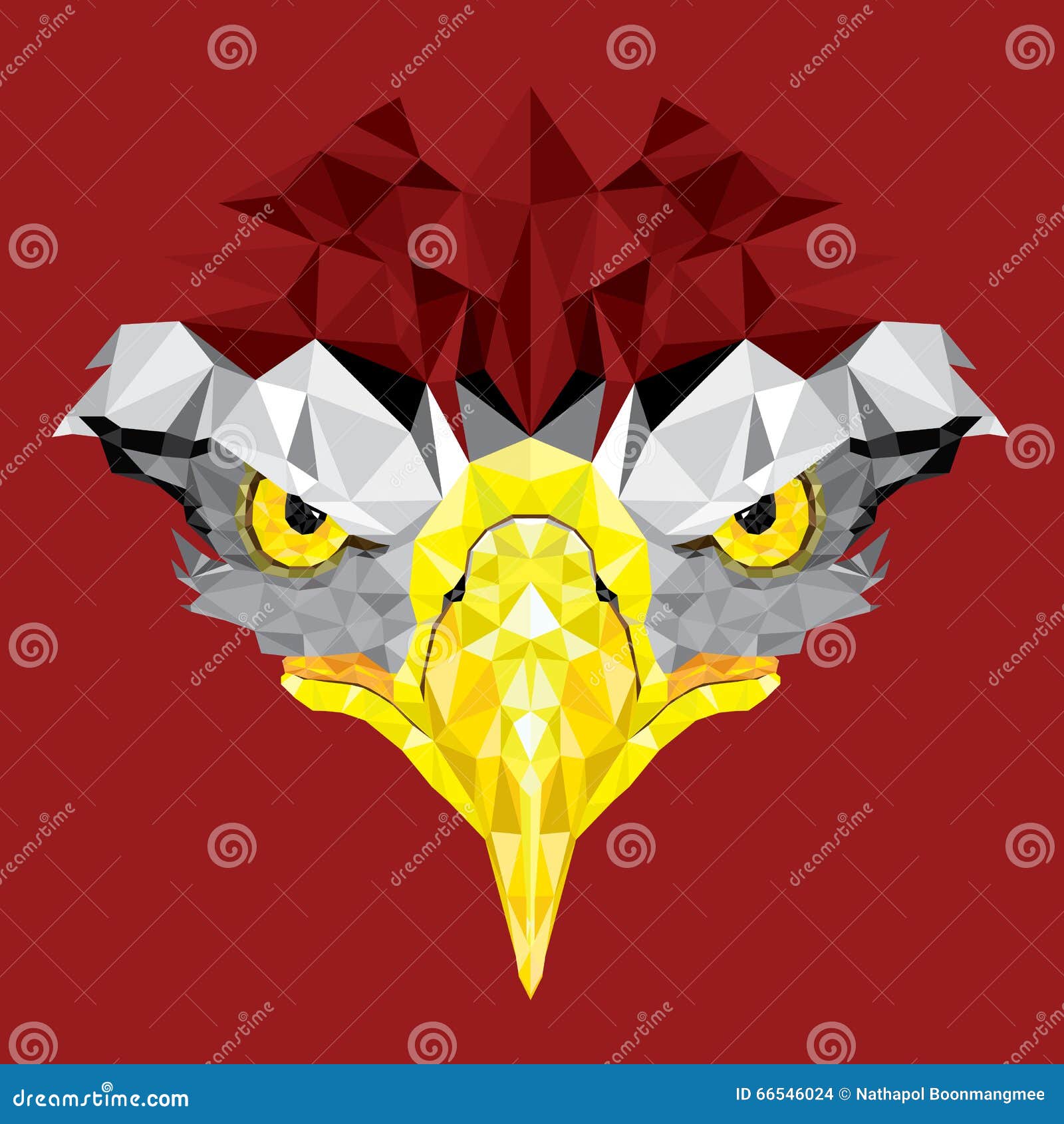 Eyes of Eagle with Geometric Pattern Stock Vector - Illustration of ...