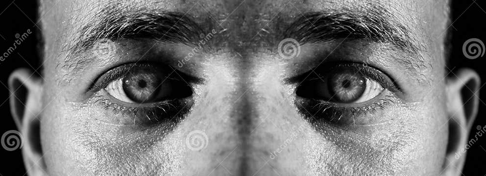 Eyes evil stare stock image. Image of focusing, eyes, iris - 4316603