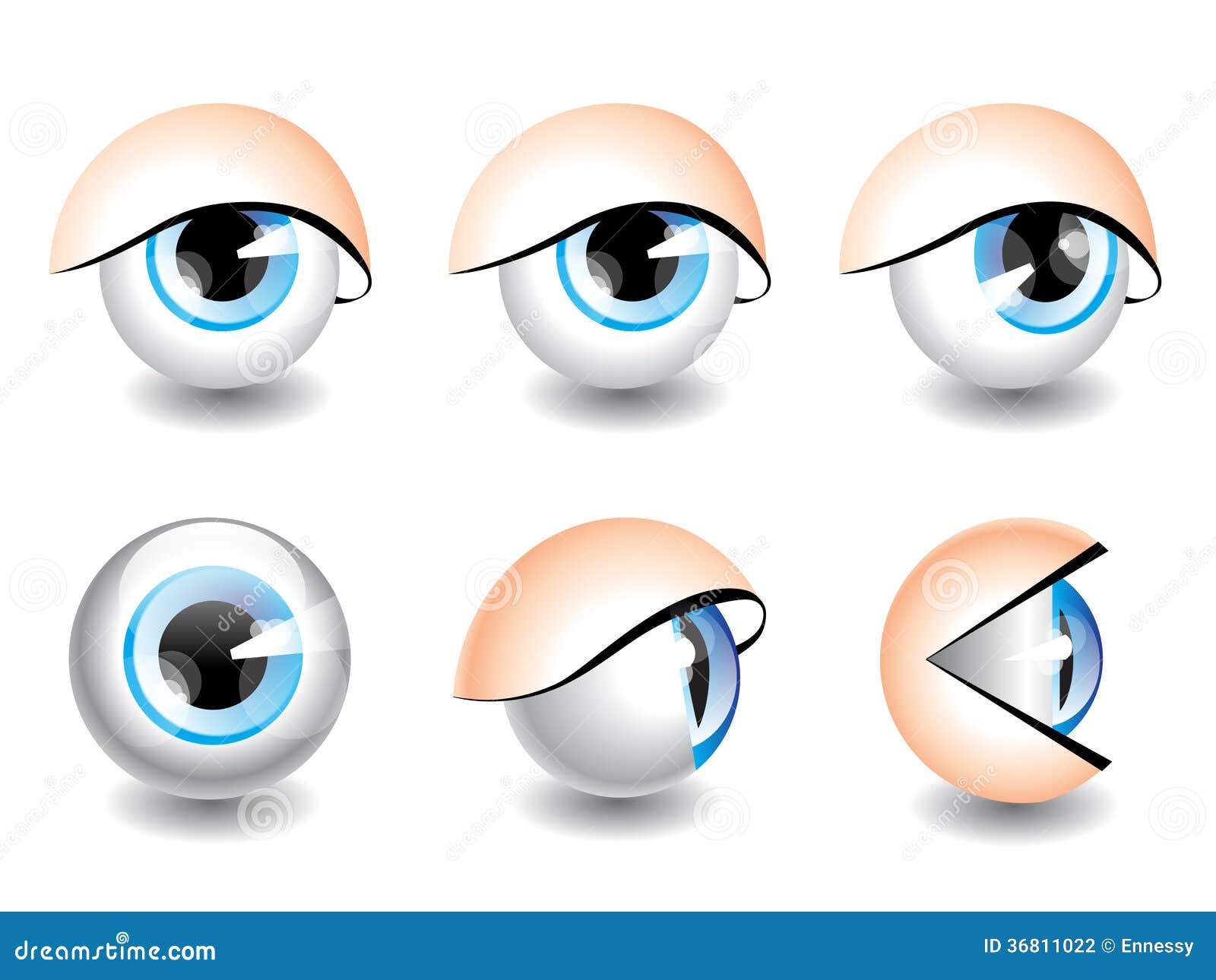 Eyes icons stock vector. Illustration of human, sight - 36811022
