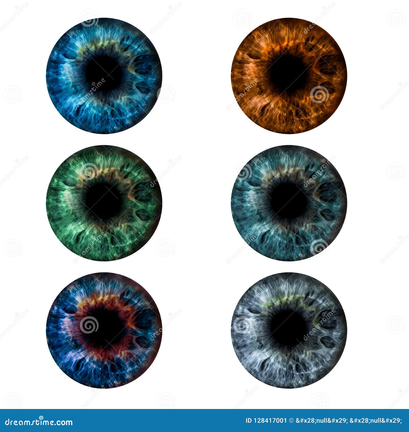 Eyes Iris Collage. Beautiful Female Eyes Of Different Colors Royalty ...