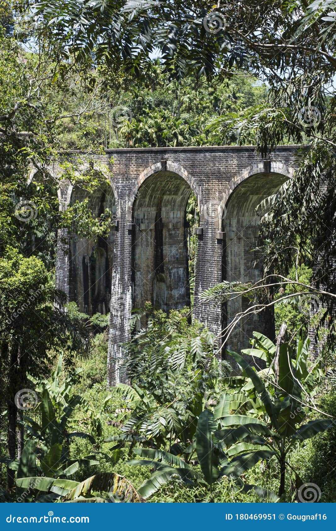 Eyes-level View of the Nine Arch Bridge at Ella in Sri Lanka Stock ...