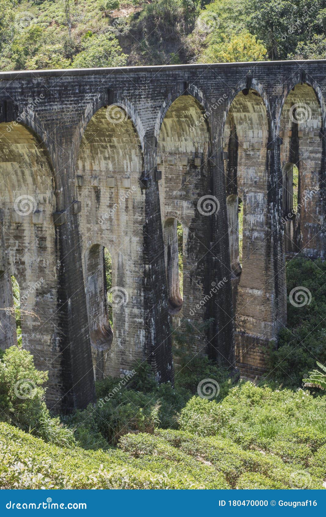 Eyes-level View Of The Nine Arch Bridge At Ella In Sri Lanka Royalty ...