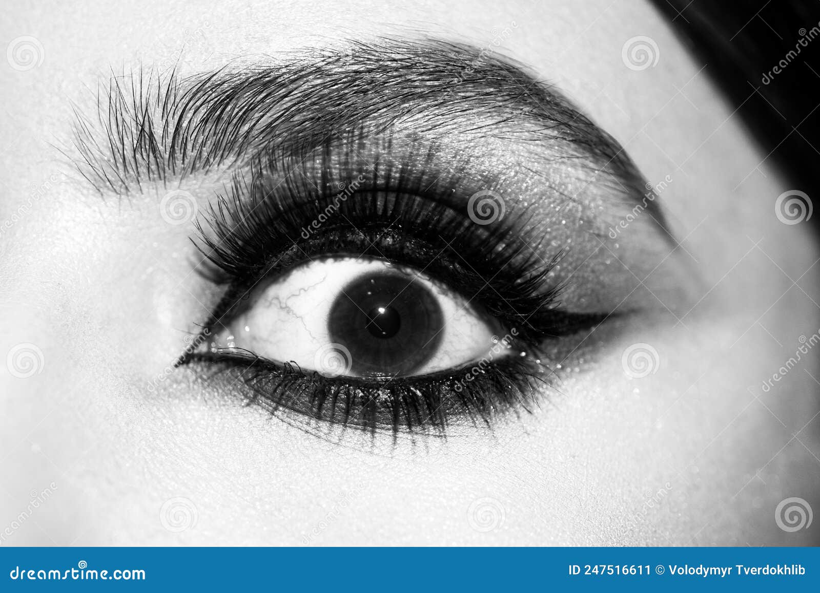 Eyes with Make Up Close Up. Beautiful Eye. Stock Image - Image of ...