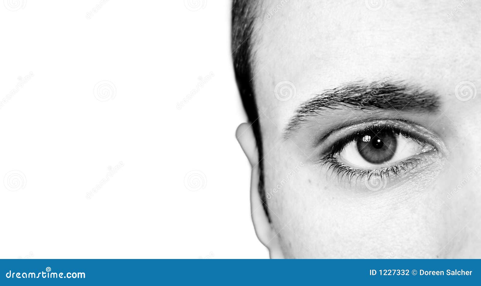 Eyes of a man stock photo. Image of brows, male, faced - 1227332