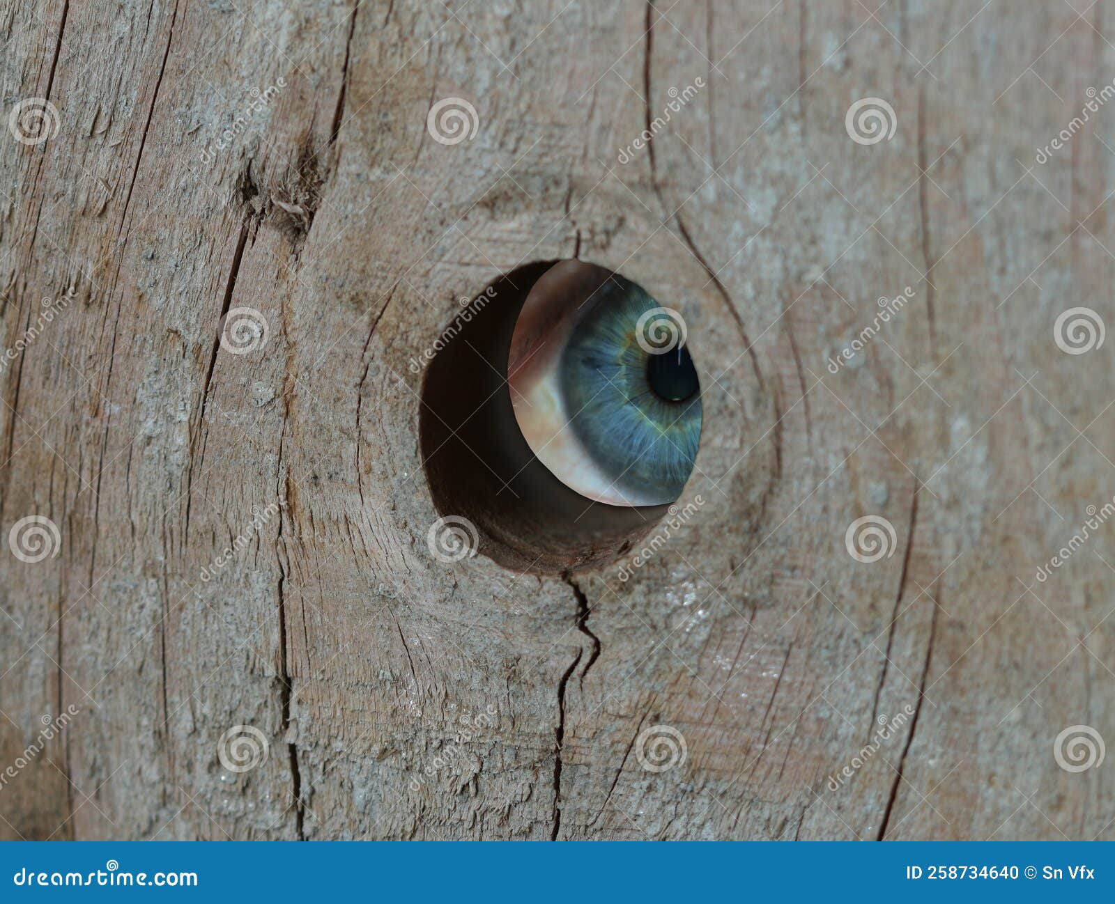 The Eyes of a Man Spying through a Hole Stock Photo - Image of hole ...