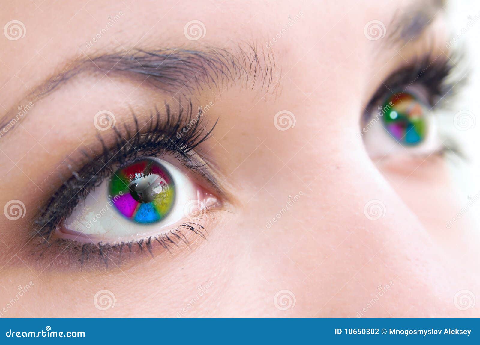 Eyes multicoloured stock photo. Image of nice, eyes, eyebrowes - 10650302