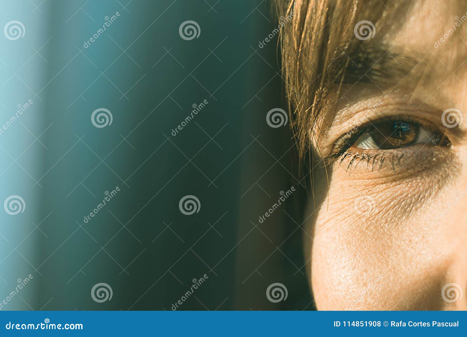 Eyes of a normal girl stock photo. Image of beauty, lady - 114851908