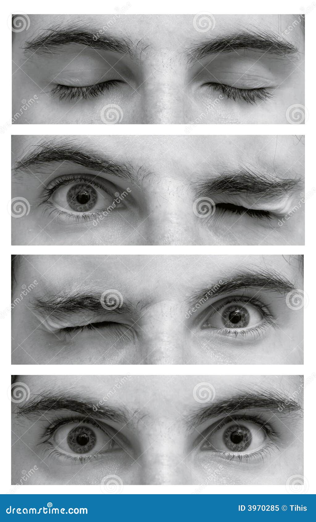 Eyes open and closed stock image. Image of opened, eyes - 3970285