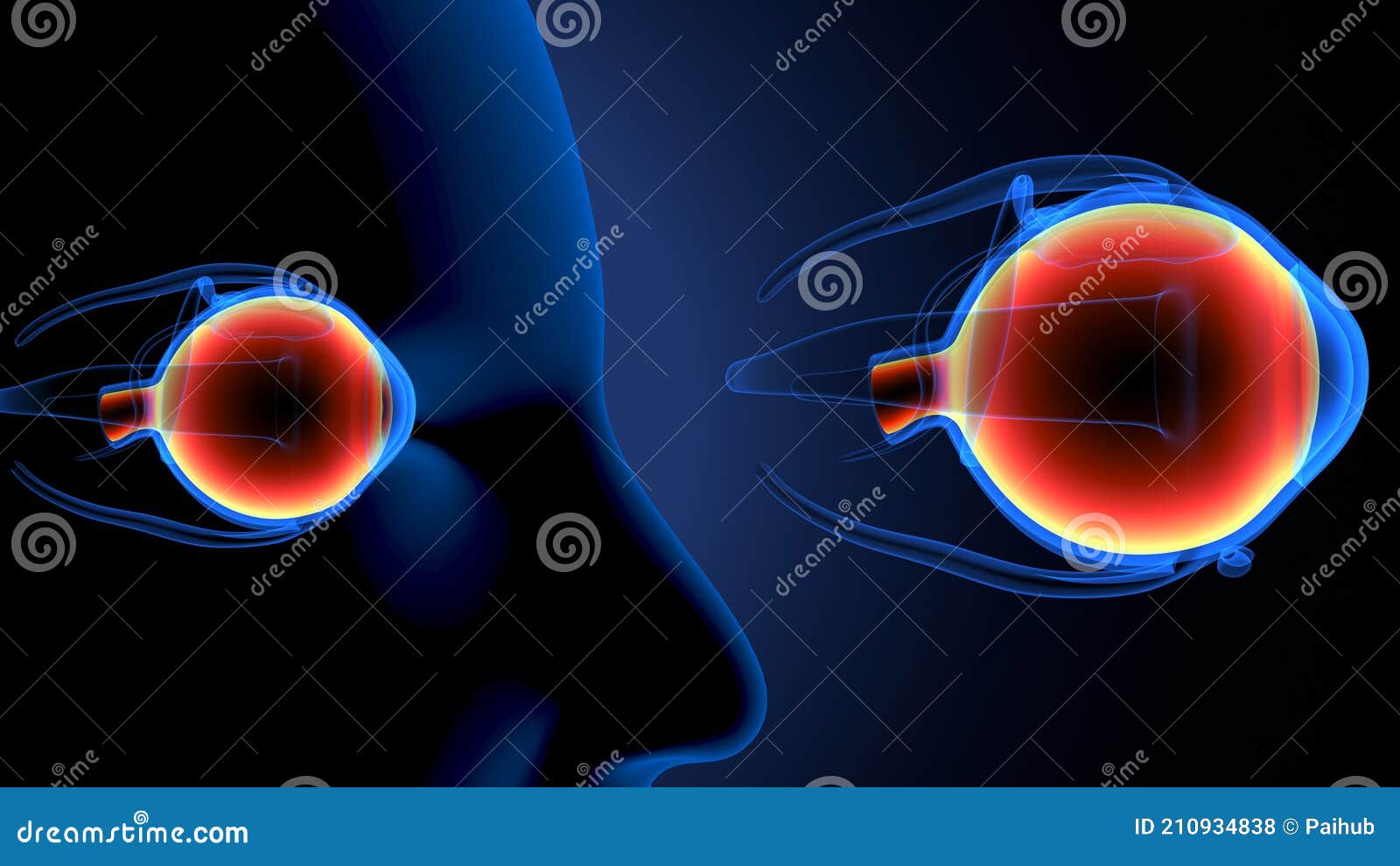 3d Render of Male Human Eye Anatomy. Stock Illustration - Illustration ...