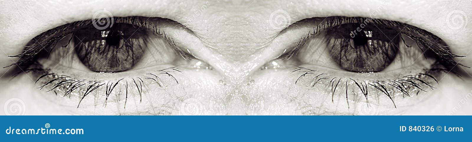 Eyes spy stock photo. Image of looks, people, mutant, face - 840326