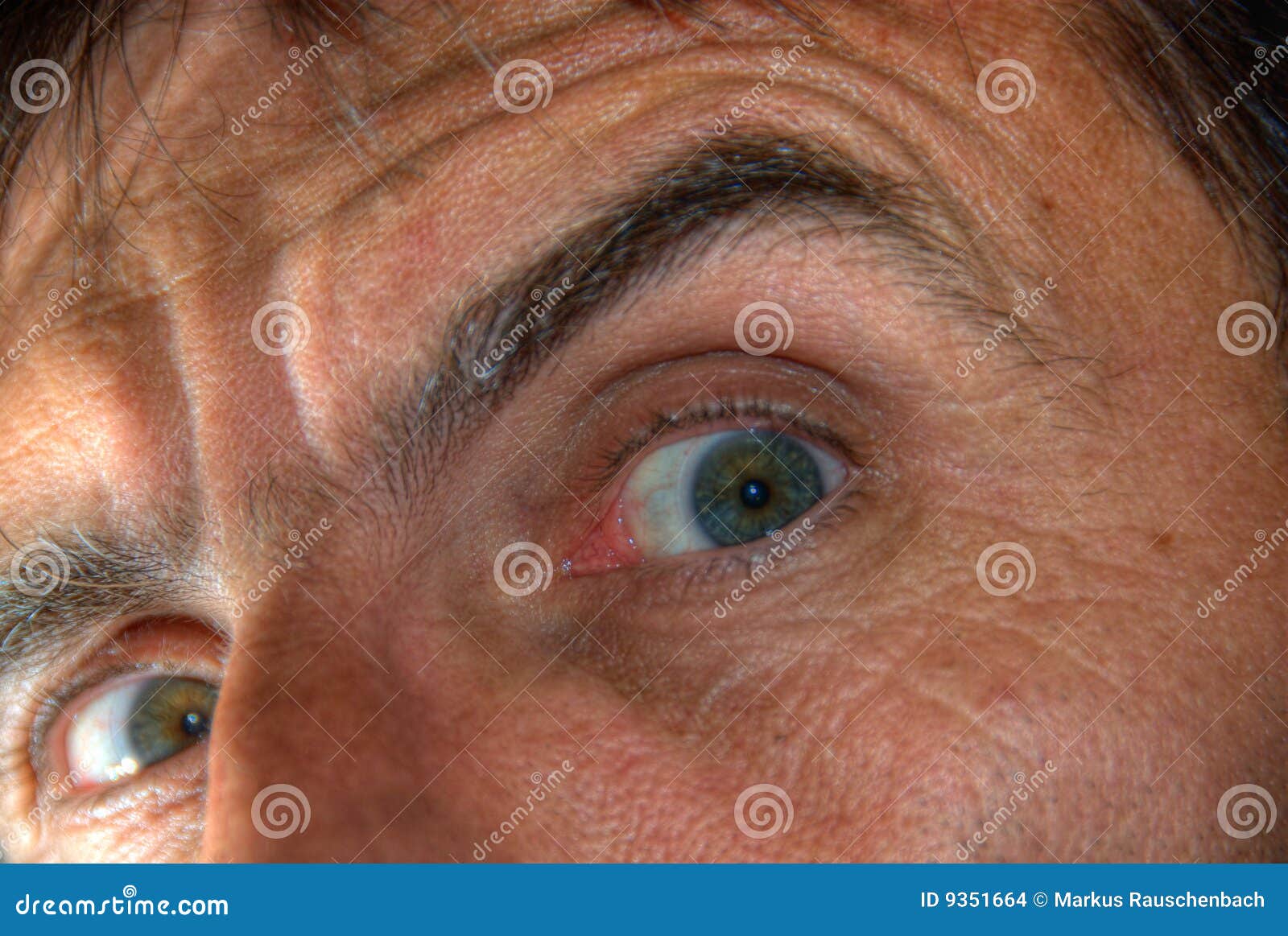 Eyes of terrified man stock photo. Image of staring, single - 9351664