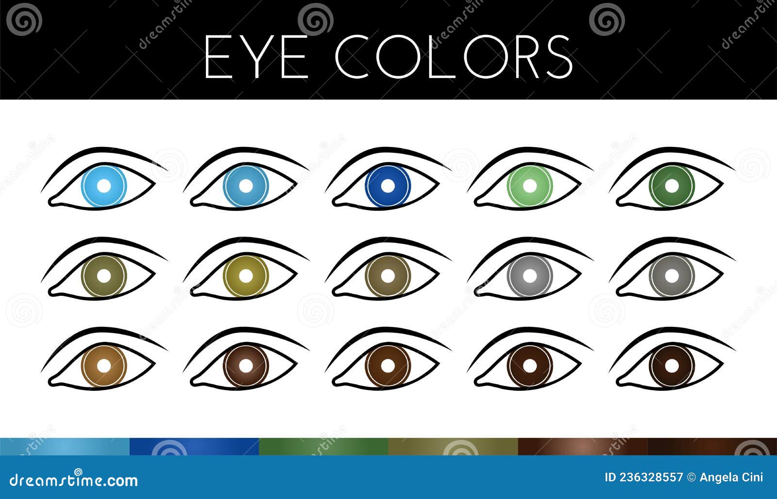 Eyes Vectors with Eye Color Swatches Stock Vector - Illustration of ...