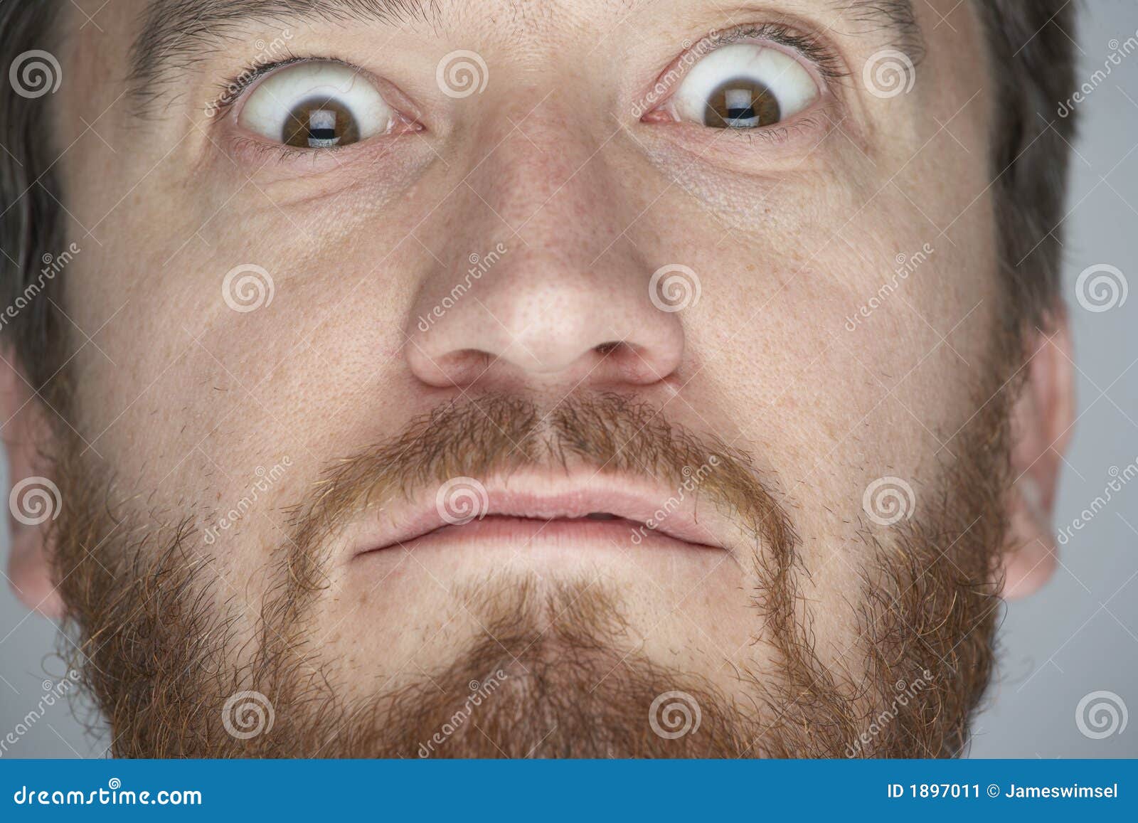 Eyes Wide 02 stock image. Image of wide, looking, pores - 1897011