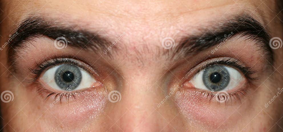 Eyes Wide Open stock image. Image of eyeball, nose, faces - 489823