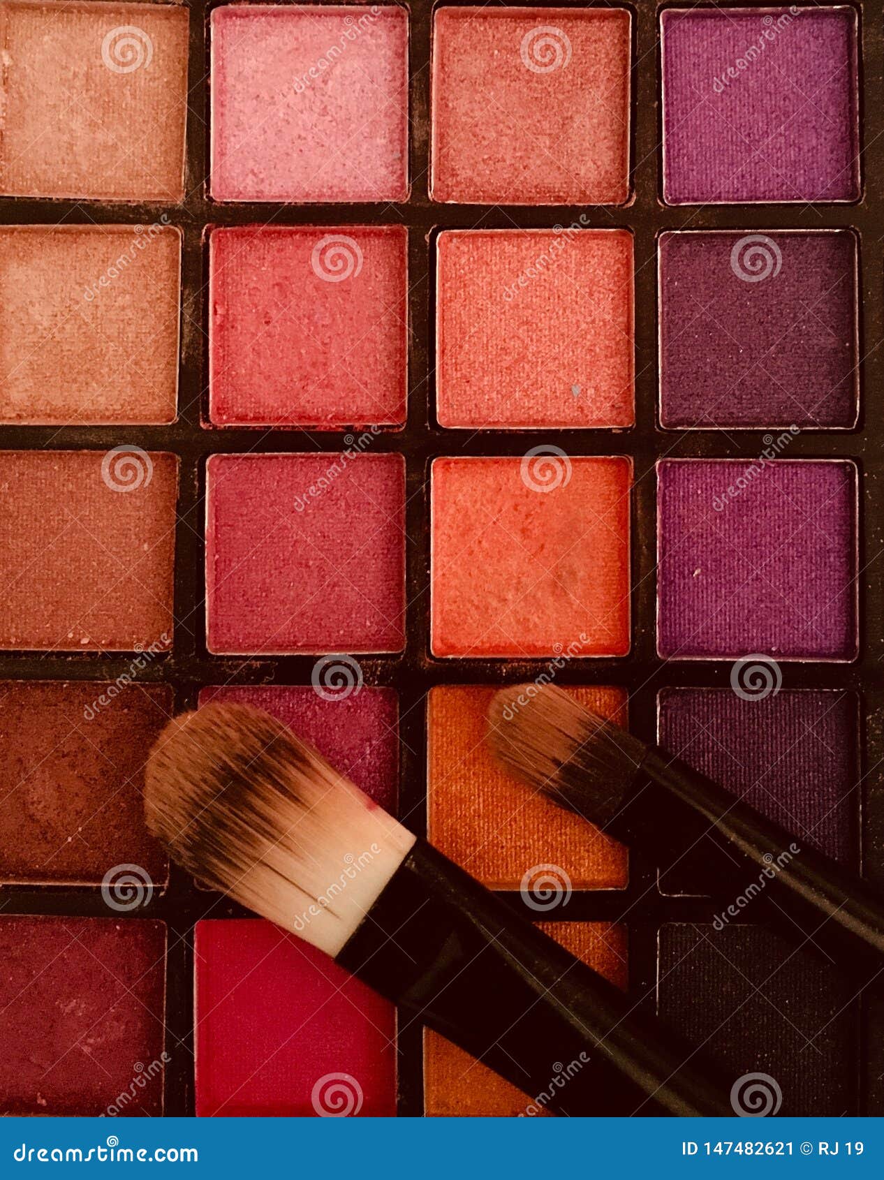 Eyeshadow stock image. Image of bright, wedding, palette - 147482621