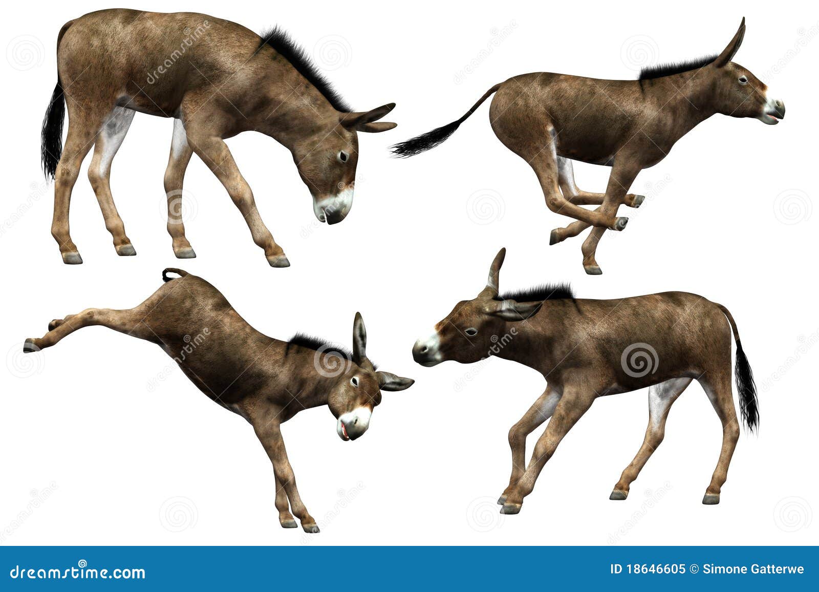 Ezel stock illustratie. Illustration of ezels, zoogdier - 18646605