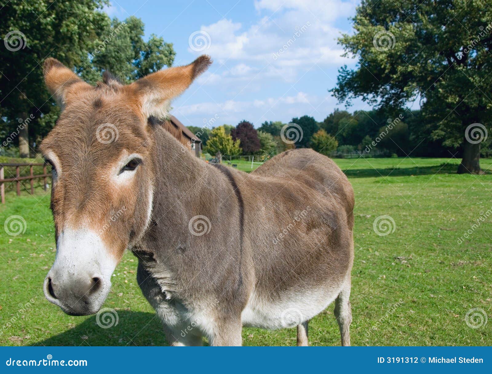 Ezel Picture. Image: 3191312