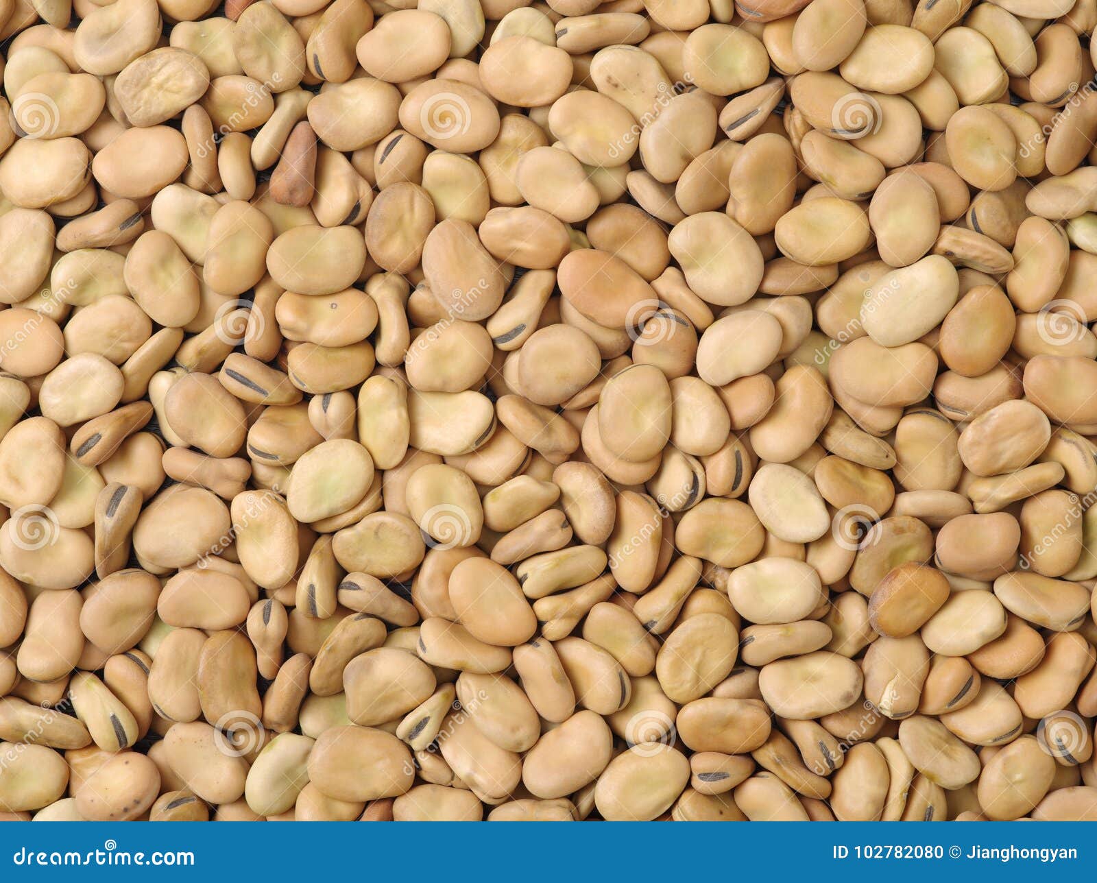 Fève sèche photo stock. Image du ingrédient, lentilles - 102782080