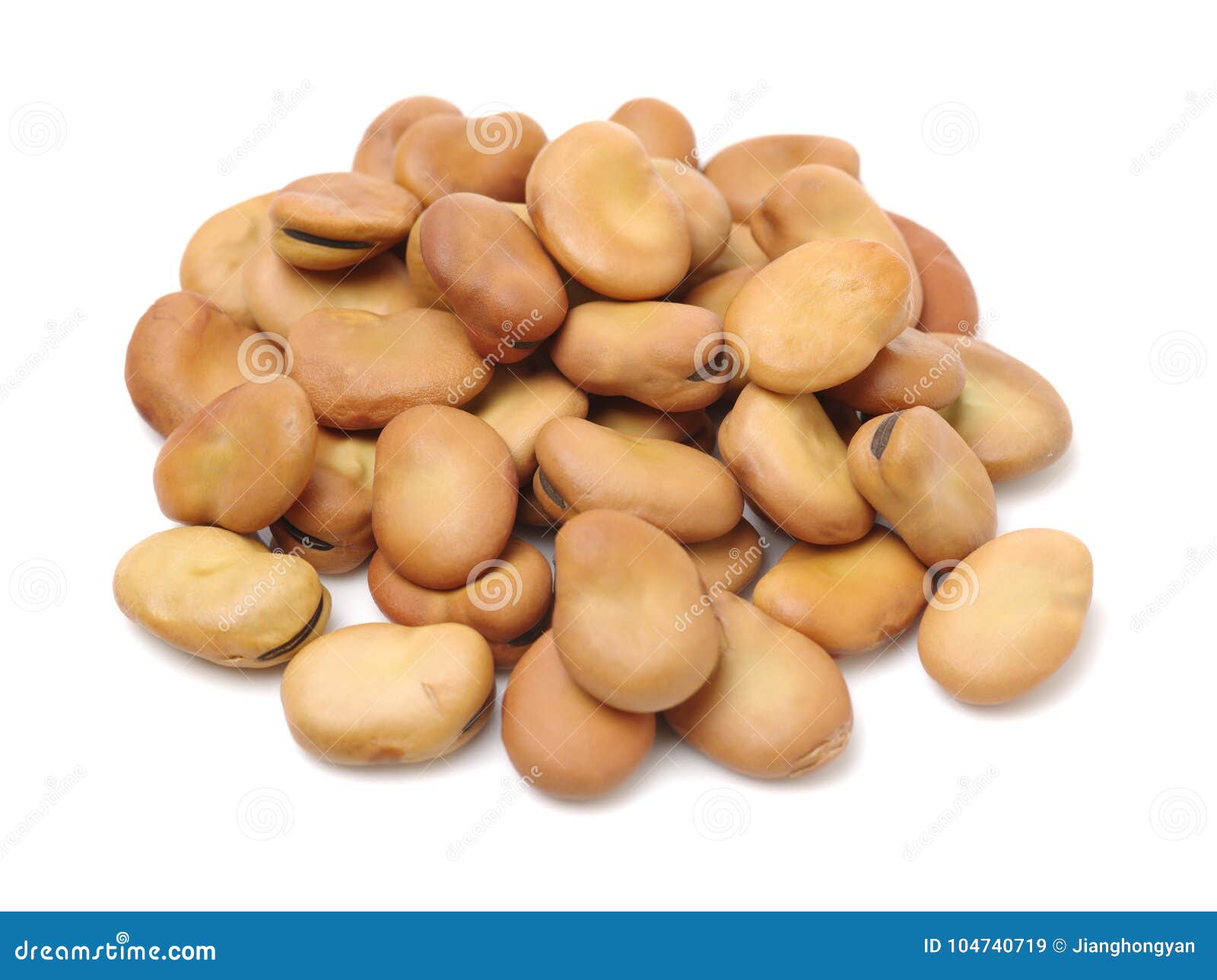 Fève sèche image stock. Image du nutrition, savoureux - 104740719