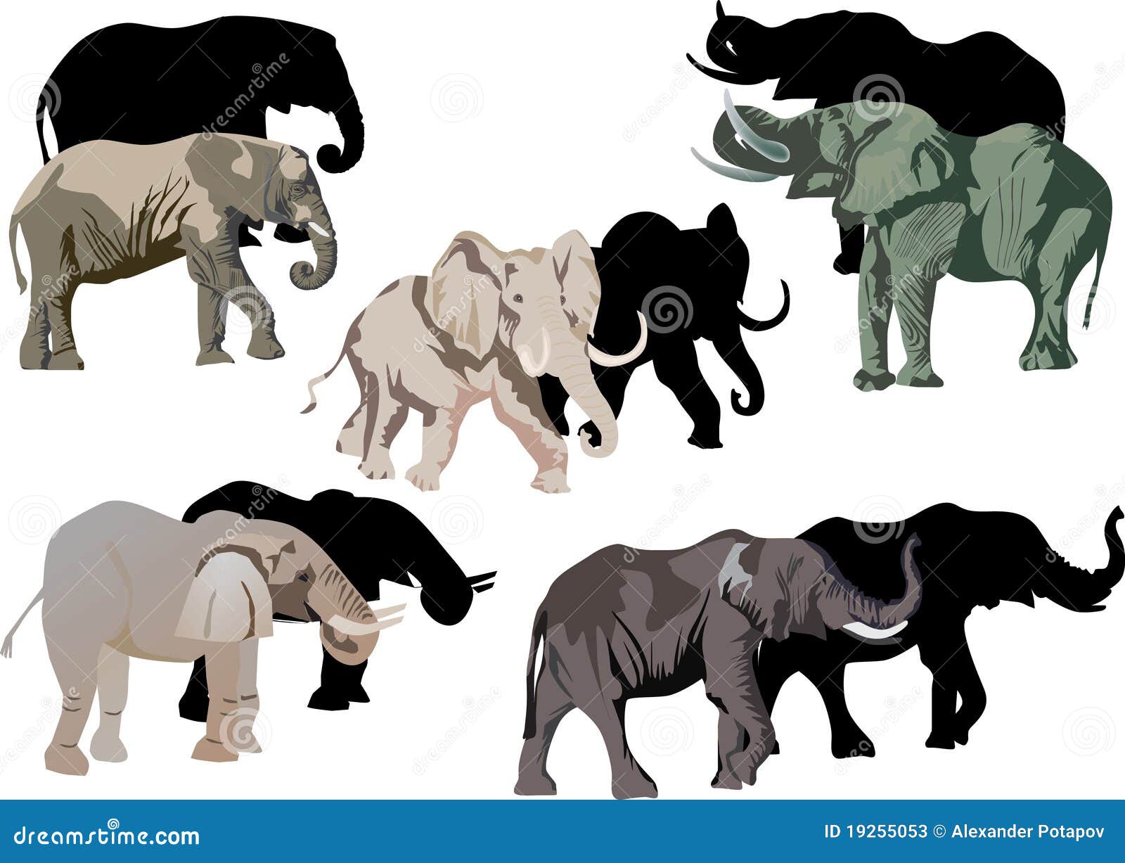 Fünf Elefanten Und Seine Schatten Vektor Abbildung - Illustration von ...