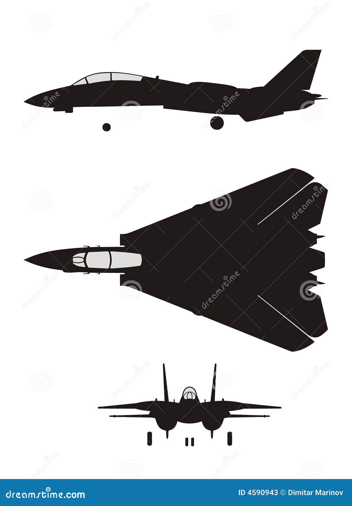 F-14 stock vector. Illustration of fighter, bird, aircraft - 4590943
