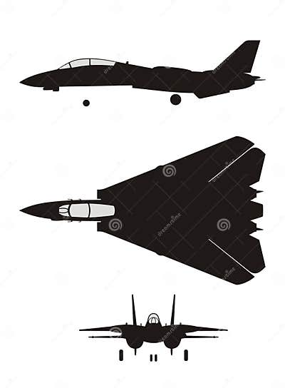 F-14 stock vector. Illustration of fighter, bird, aircraft - 4590943