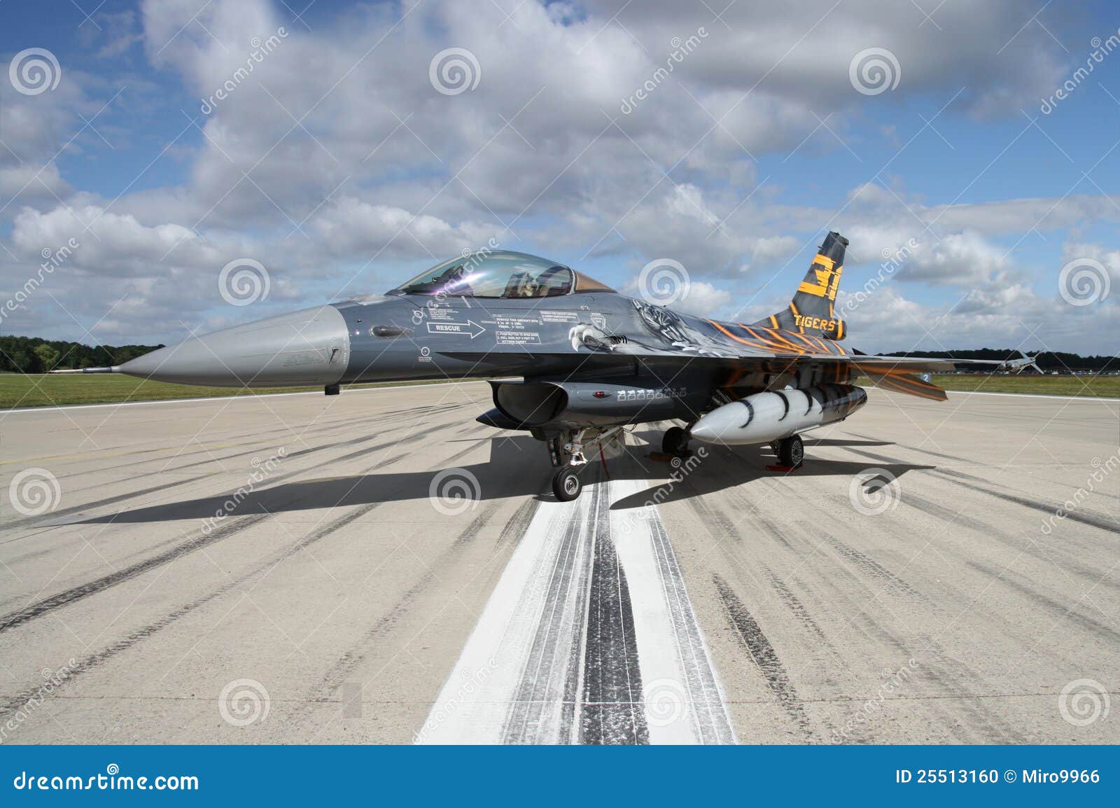 F16 Tiger editorial image. Image of fighter, professional - 25513160