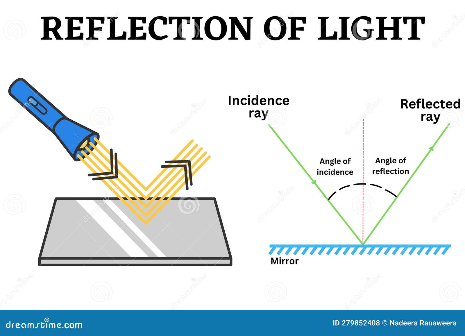Reflection Of Light Reflection From Mirror Physics Science Infographic