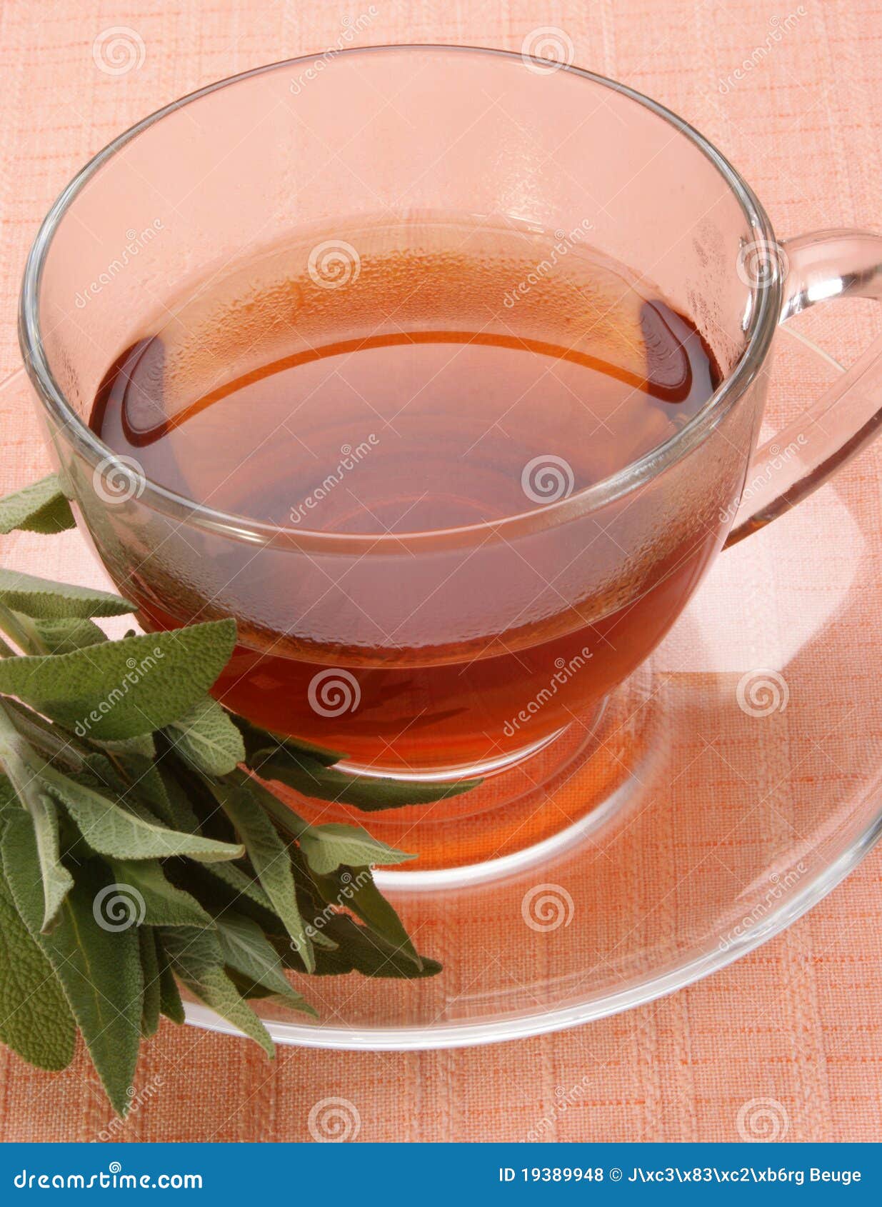 F Cooked Sage Tea in a Glass Cup Stock Photo - Image of glass, garden ...