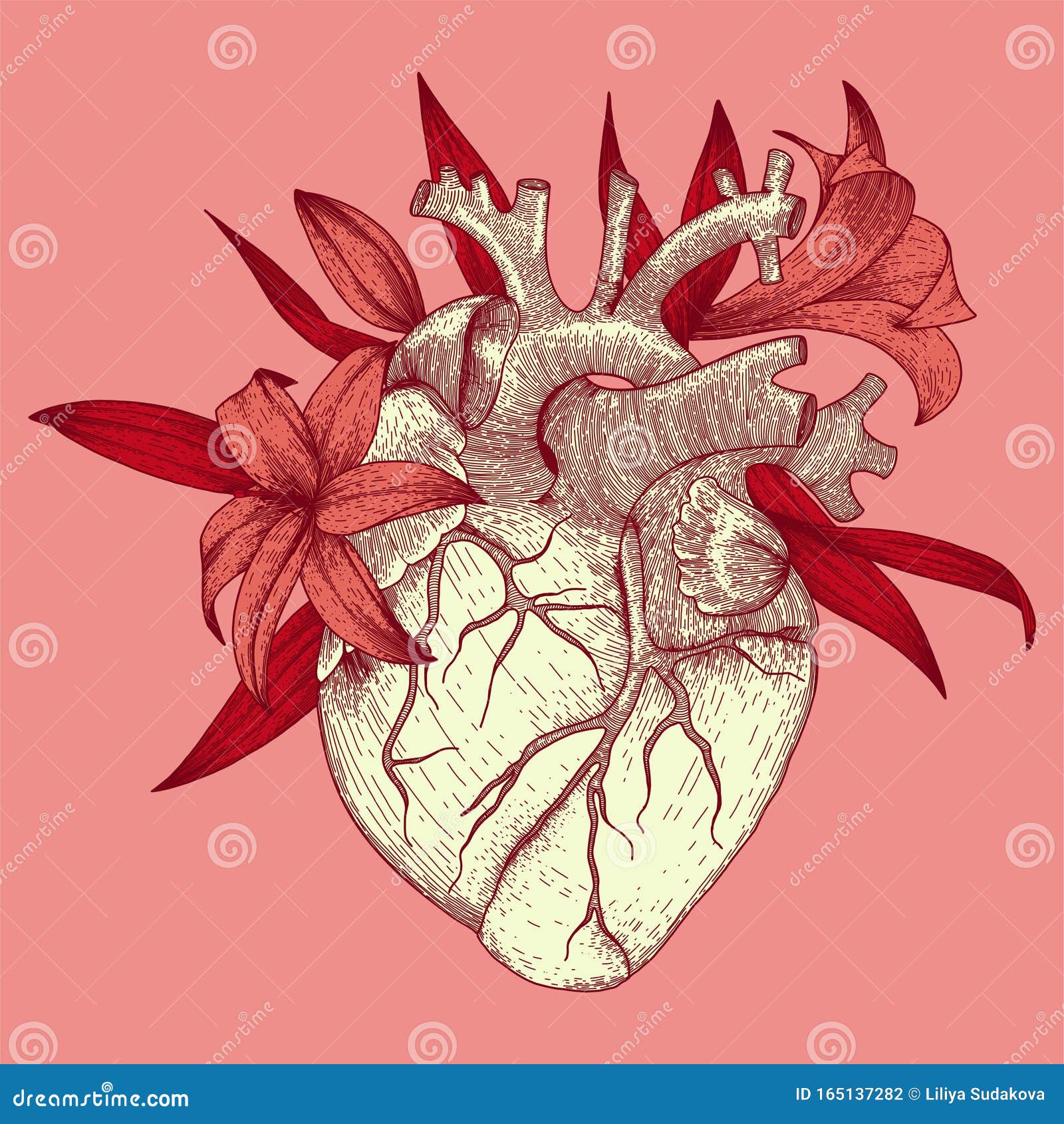 Real Heart with Lily Flowers Stock Photo - Image of lily, real: 165137282