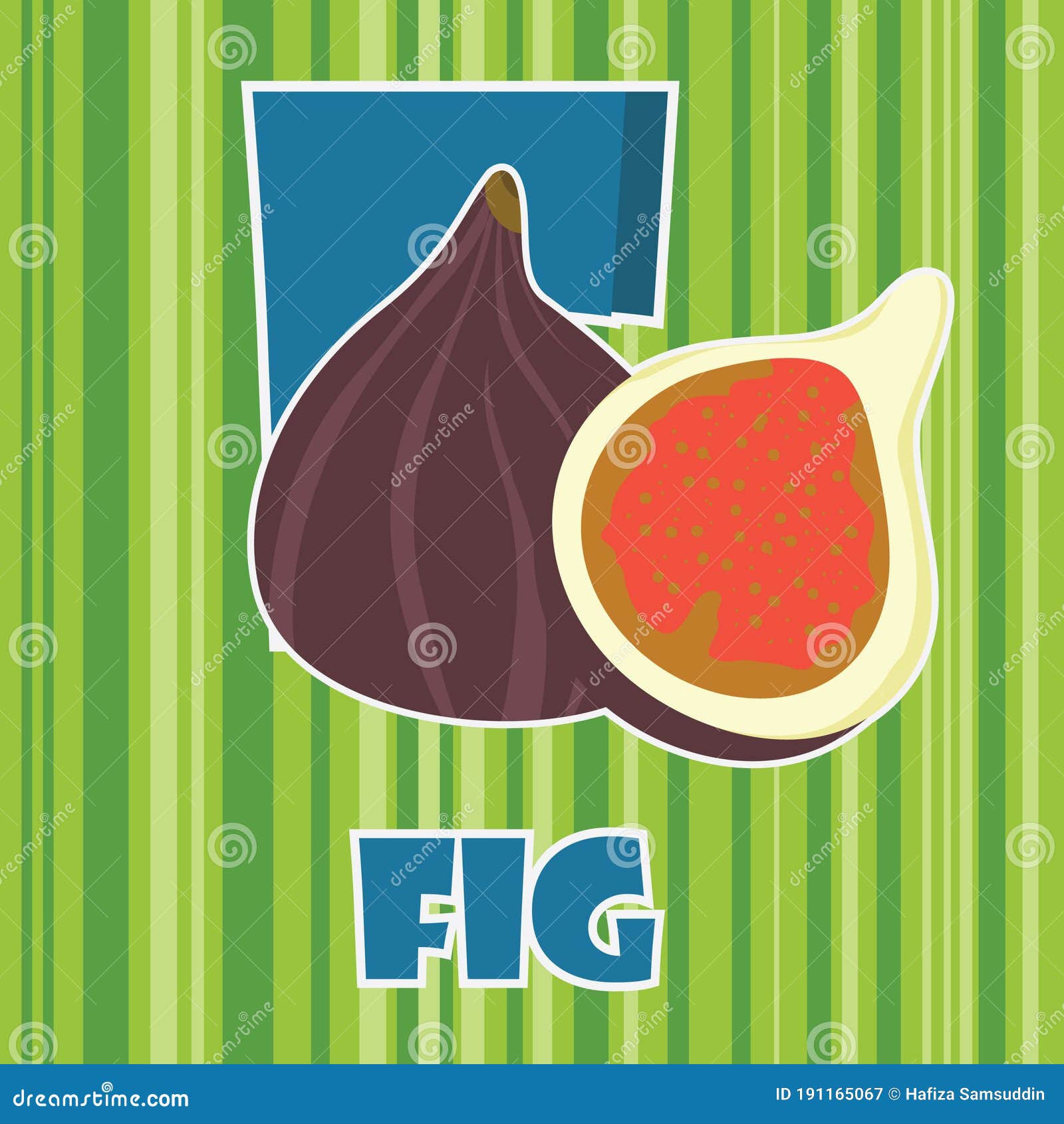 F for Fig. Vector Illustration Decorative Design Stock Vector ...