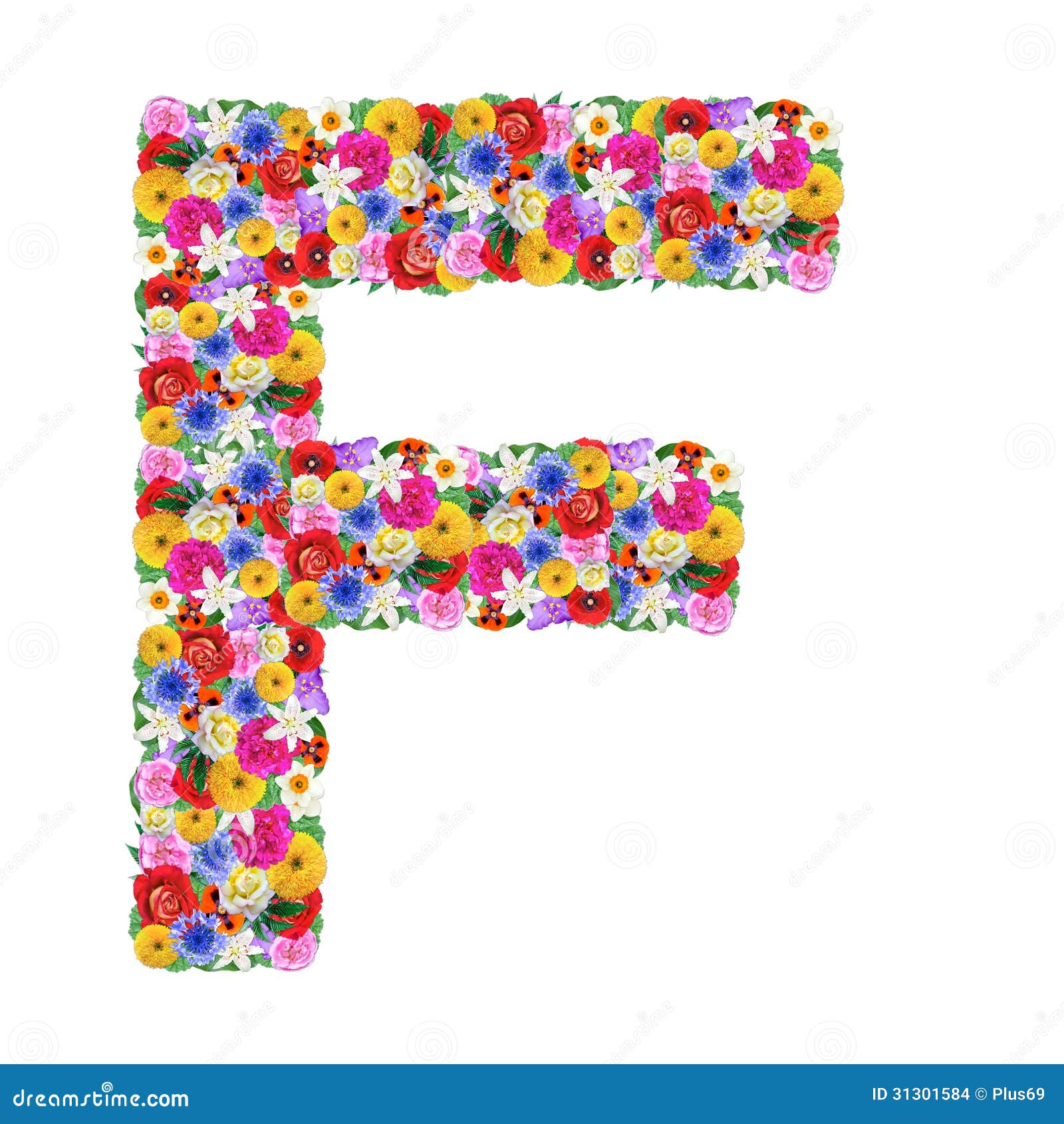 F, Letter of the Alphabet in Different Flowers Stock Photo - Image of ...