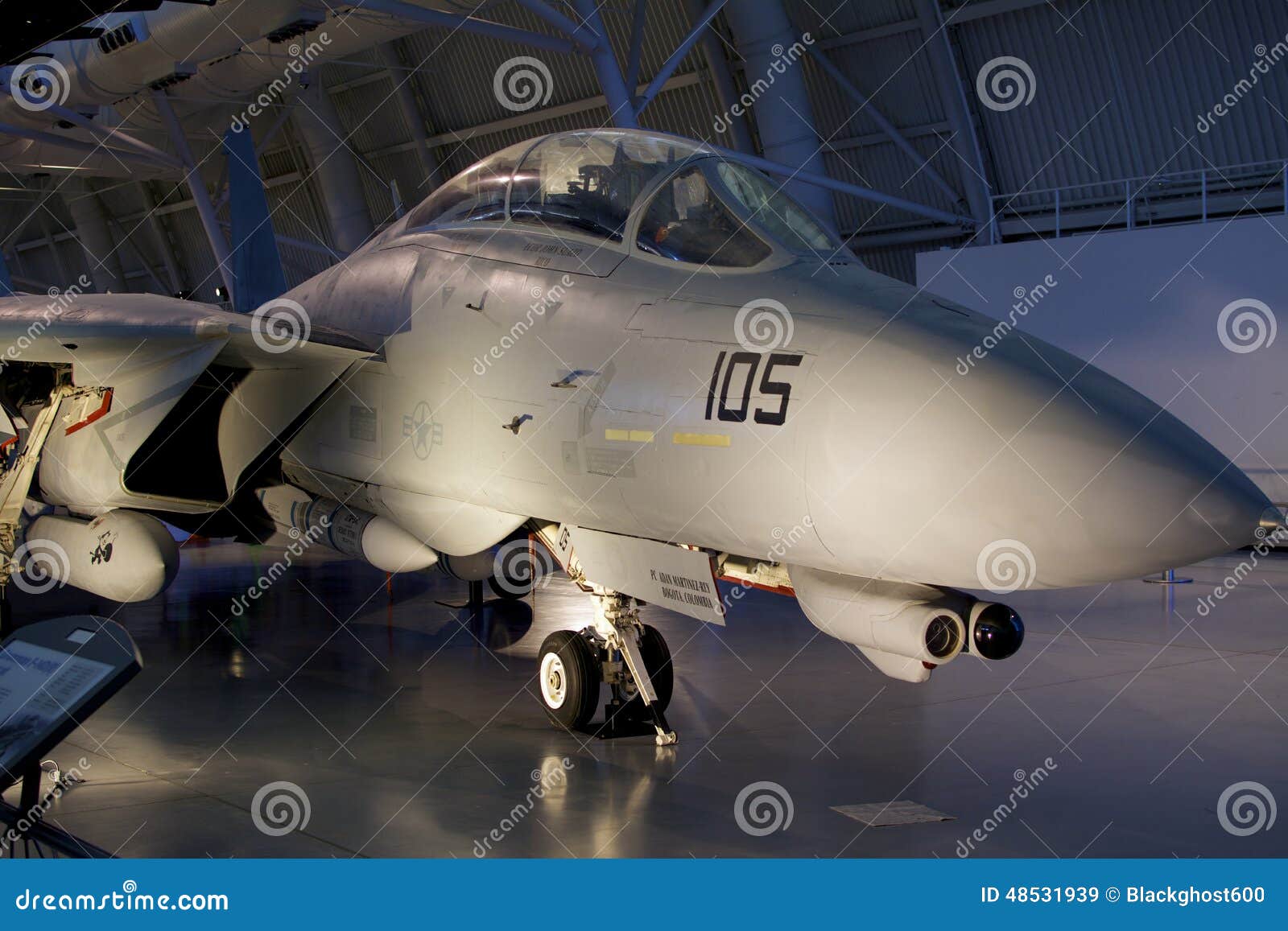 F-14 Tomcat editorial stock image. Image of national - 48531939