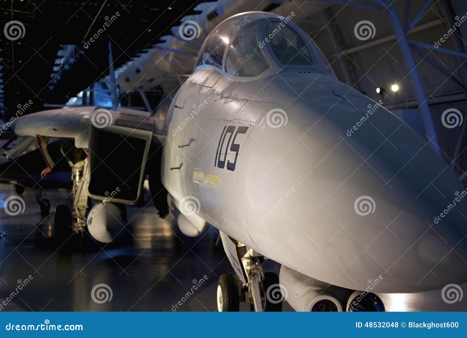 F-14 Tomcat editorial stock photo. Image of grumman, chantilly - 48532048